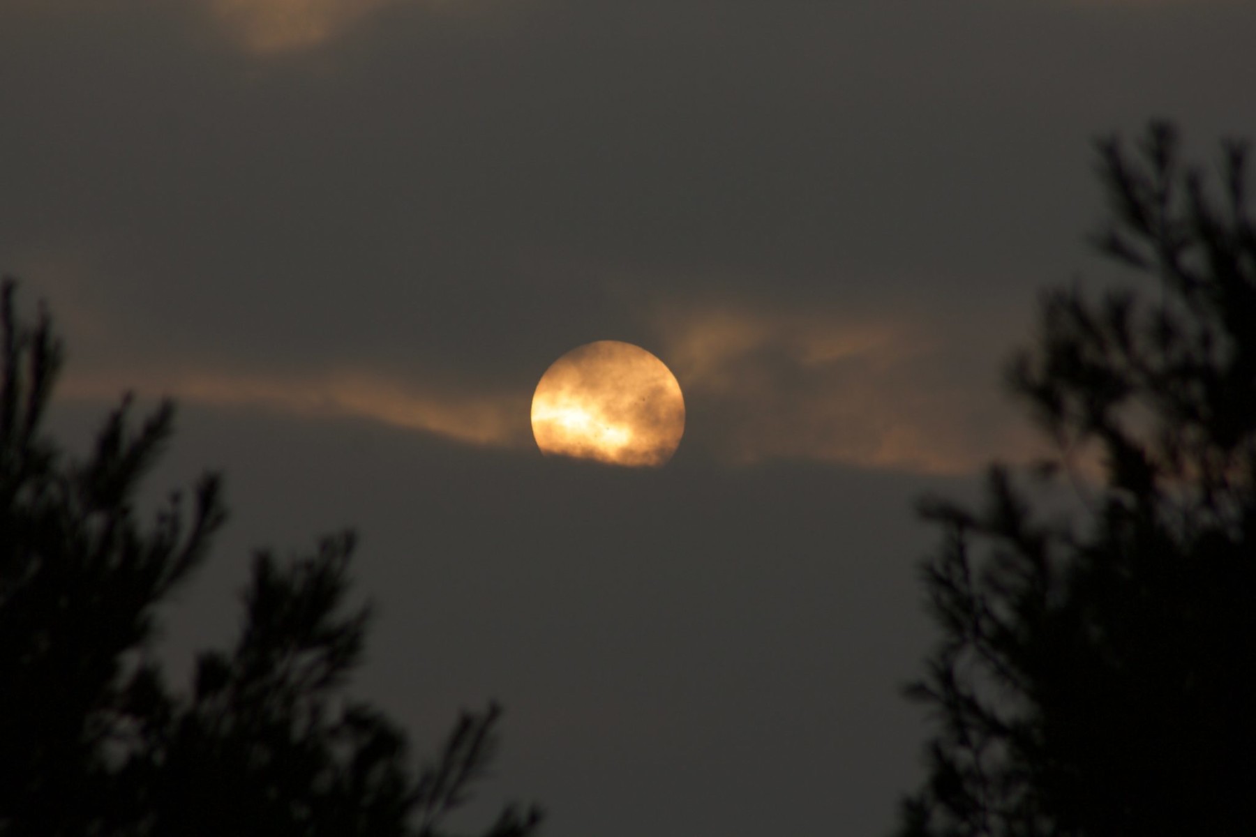 Bright Moon Night Hikes - Mountain Vista Touring in Park City, Utah