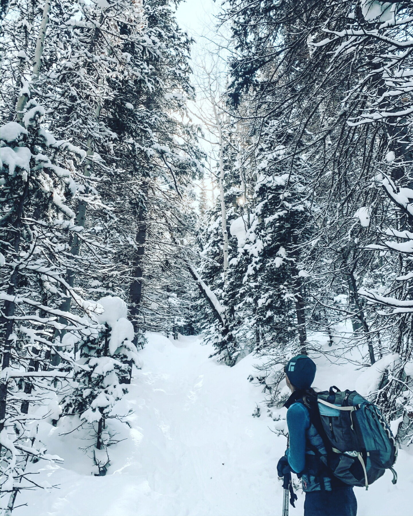 Winter Escapes in Park City: Top Three Hikes for all Skill Levels ...